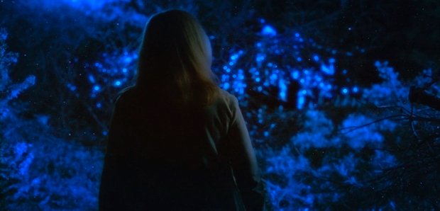 THE BEACH HOUSE (2019) INTERESTING NATURAL HORROR INDIE. MOVIE REVIEW ...